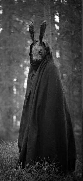 The Easter Egg Hunt: A Children’s Librarian Nightmare | Bibliotheca Humana